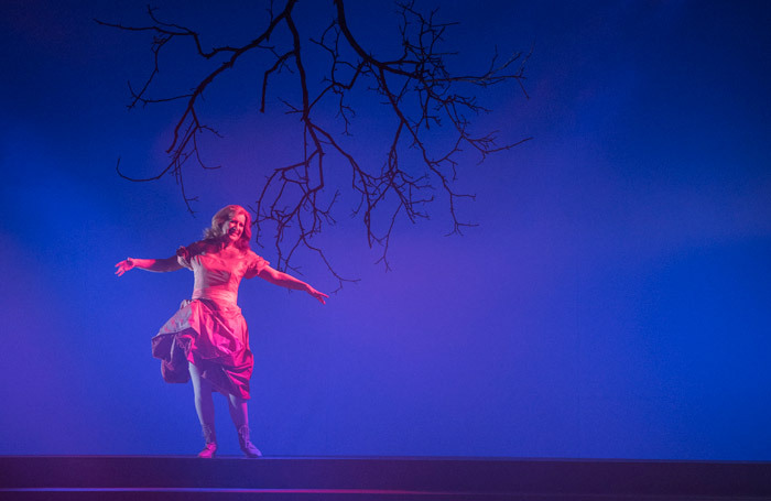 Tannhauser review, Loughborough, Gloucestershire, 2016