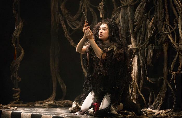 Rapunzel review, Cambridge Junction, Cambridge, 2017