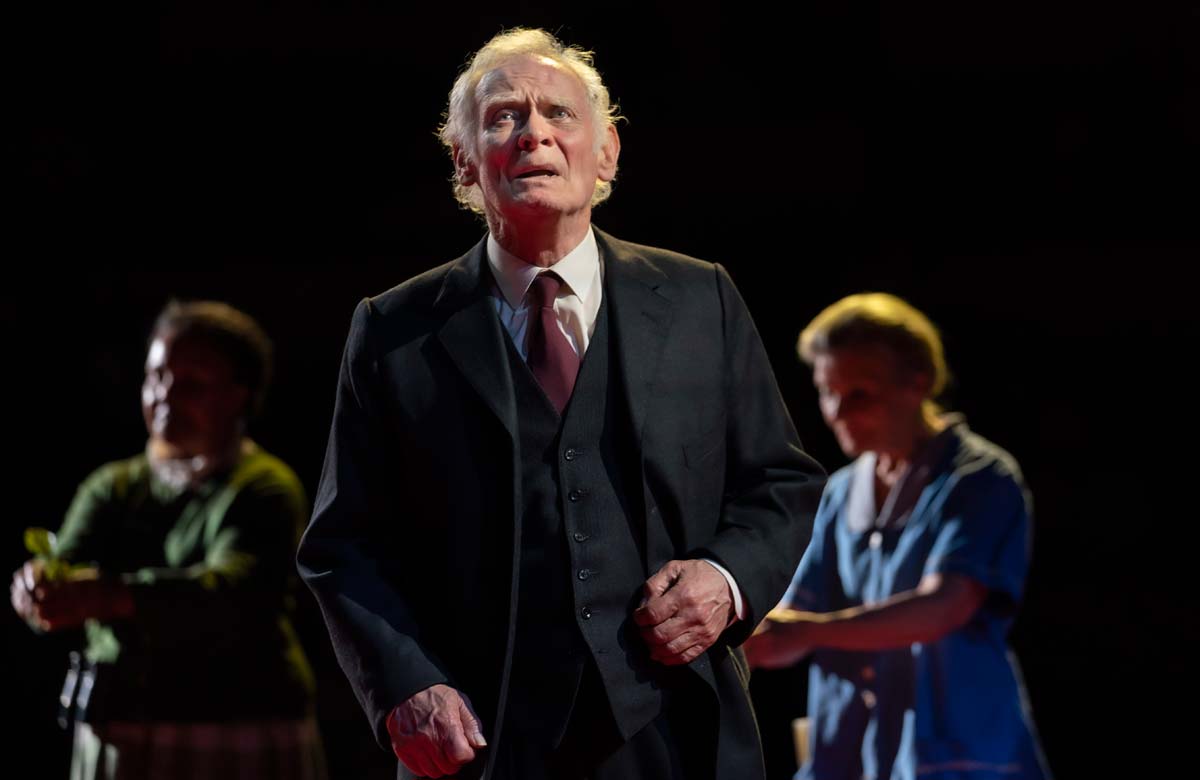 Review: Under Milk Wood, starring Michael Sheen, Karl Johnson and Siân ...