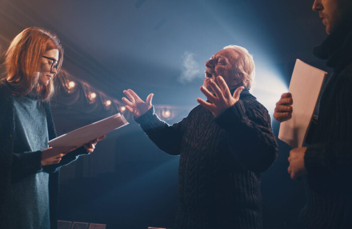 Singular error: why the concept of the ‘visionary director’ needs revision