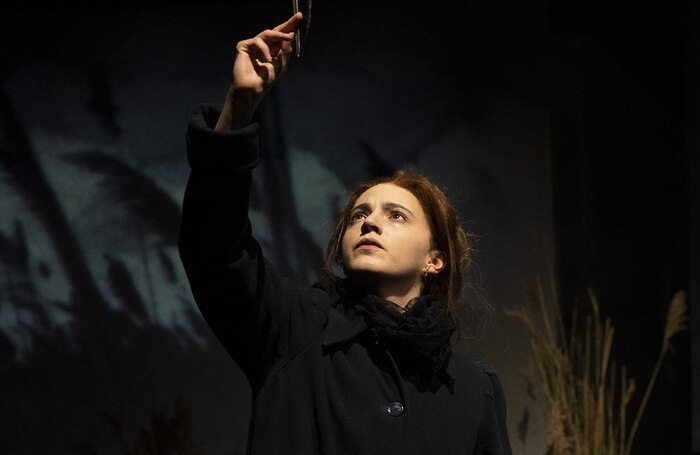 The Taxidermist's Daughter review at Chichester Festival Theatre