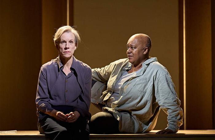 The Doctor review at the Duke of York’s Theatre, London, adapted and ...