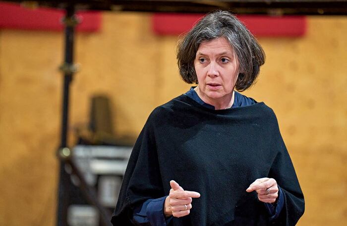 The RSC’s Erica Whyman: 'There are lots of jobs I might do next – I’m ...