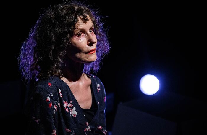 Pussycat in Memory of Darkness review at Finborough Theatre, London