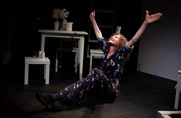 Pussycat in Memory of Darkness review at Finborough Theatre, London