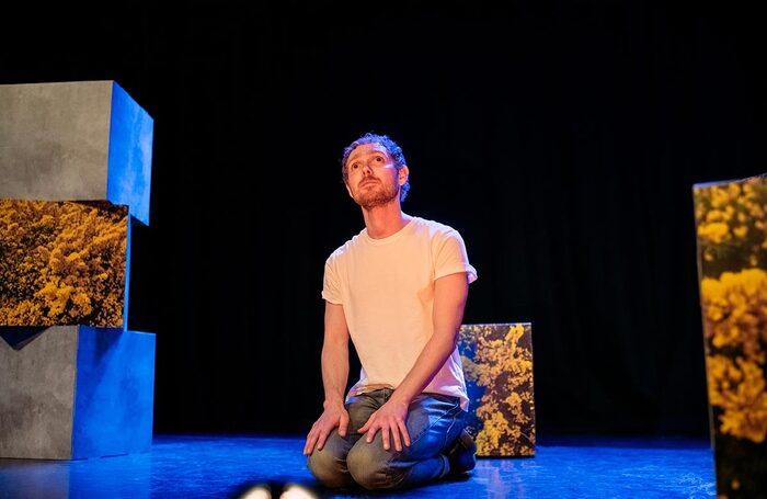 I Hope Your Flowers Bloom at Scottish Storytelling Centre, Edinburgh by ...