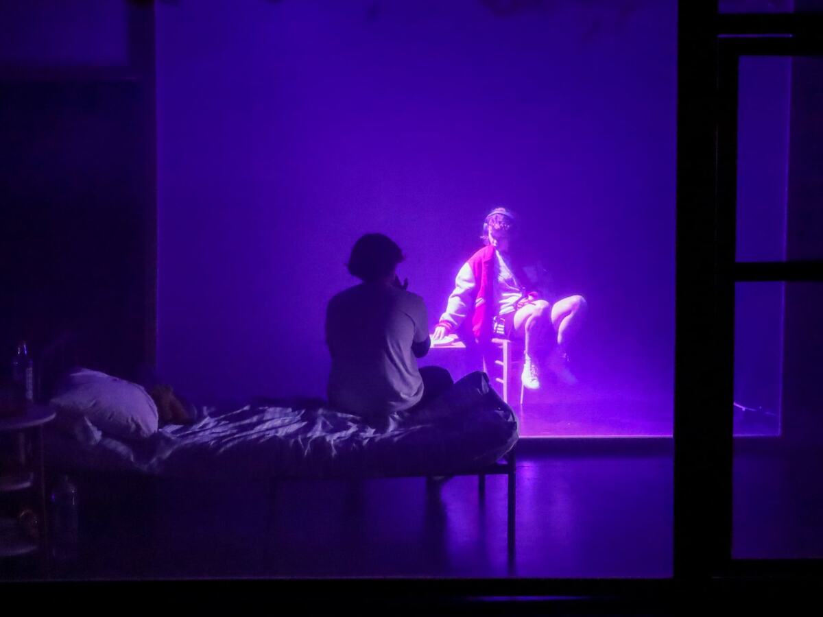 The Stage - Directory Media Library - Contemporary Directing Practice ...