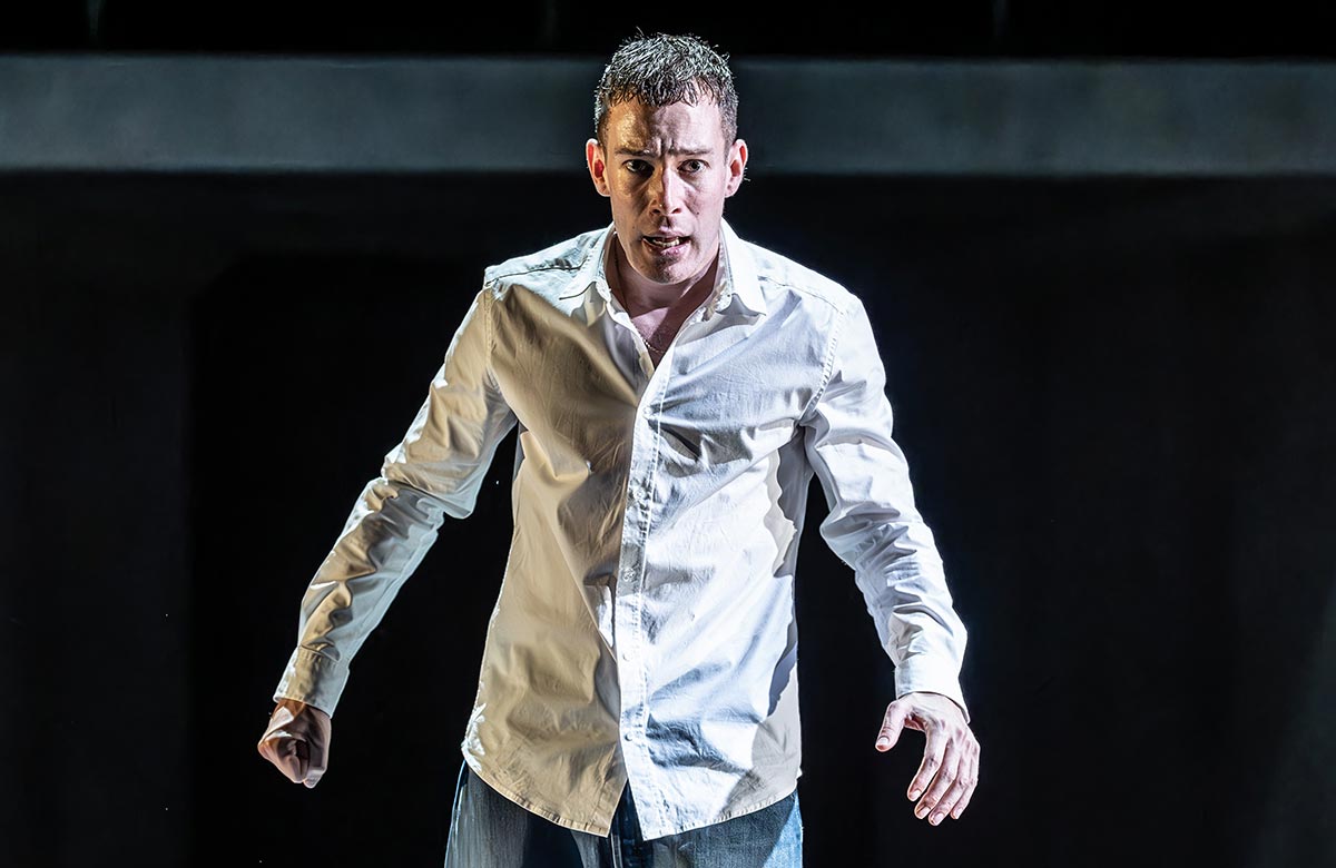 David Shields: ‘Punch is the most challenging and most important thing ...