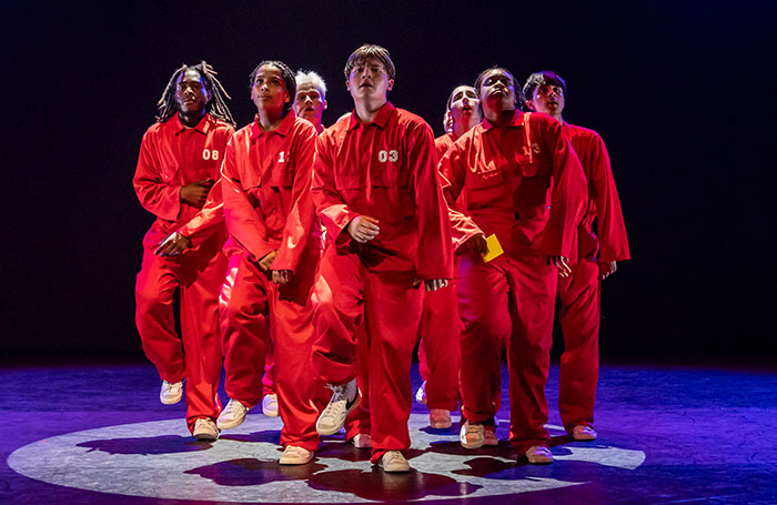 ZooNation Youth Company