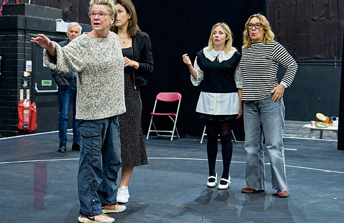 Bijan Sheibani on juggling a career directing and writing