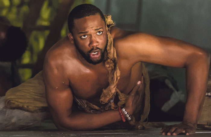 Wexford Festival Opera profile