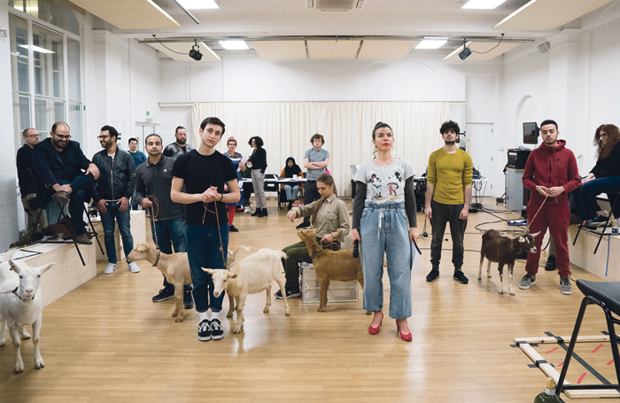 Interview with Goats director Hamish Pirie