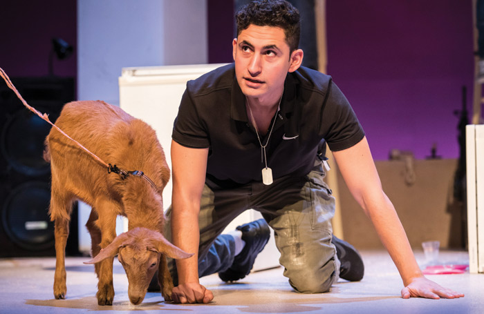 Performing Pets | animals in theatre