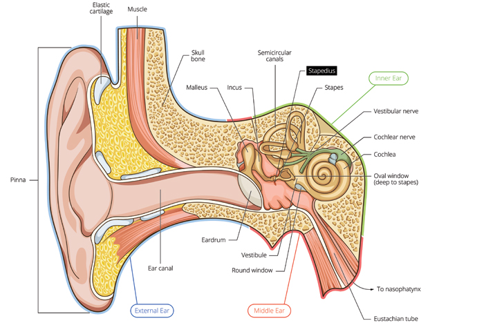 Shocking story | could change orchestra pits forever | Royal Opera House